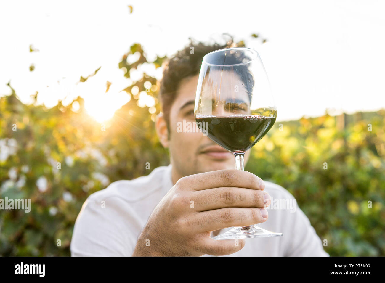 Man tasting red wine backlight hi-res stock photography and images - Alamy