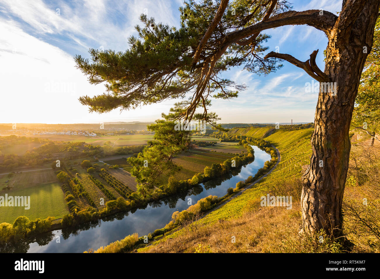 Neckar valley germany hi-res stock photography and images - Alamy