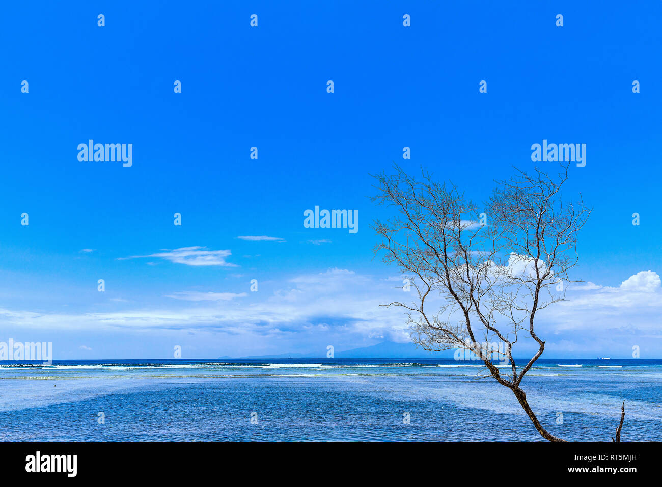 Ocean view and dry ocean on the beach of Gili Trawangan, Indonesia ...
