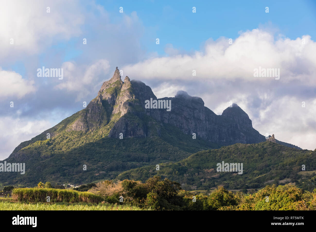 Mauritius, Highlands, sugarcane fields, Mountain Pieter Both Stock ...