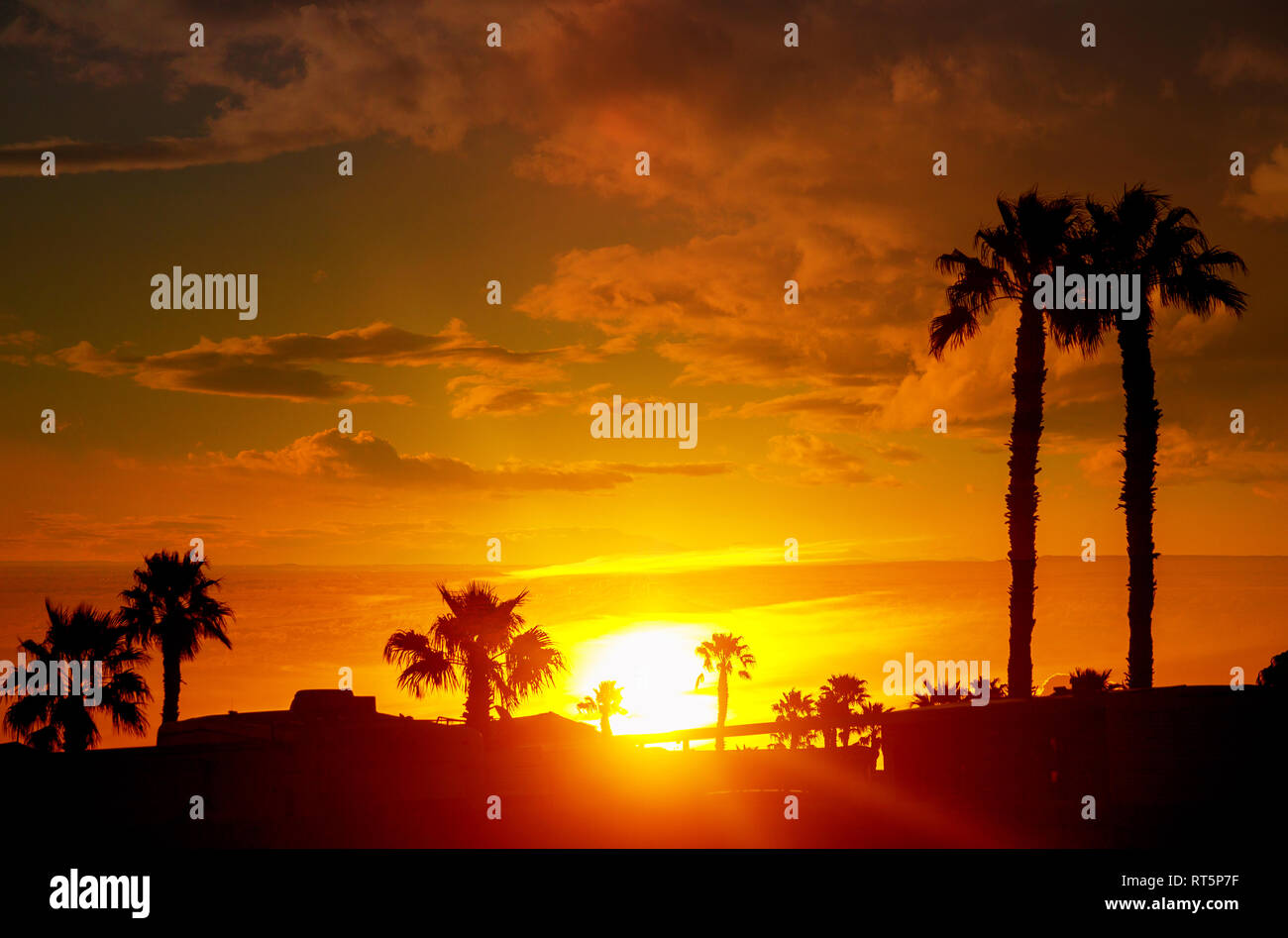 Golden hour with the mountains on the classic Phoenix, Arizona sunset ...