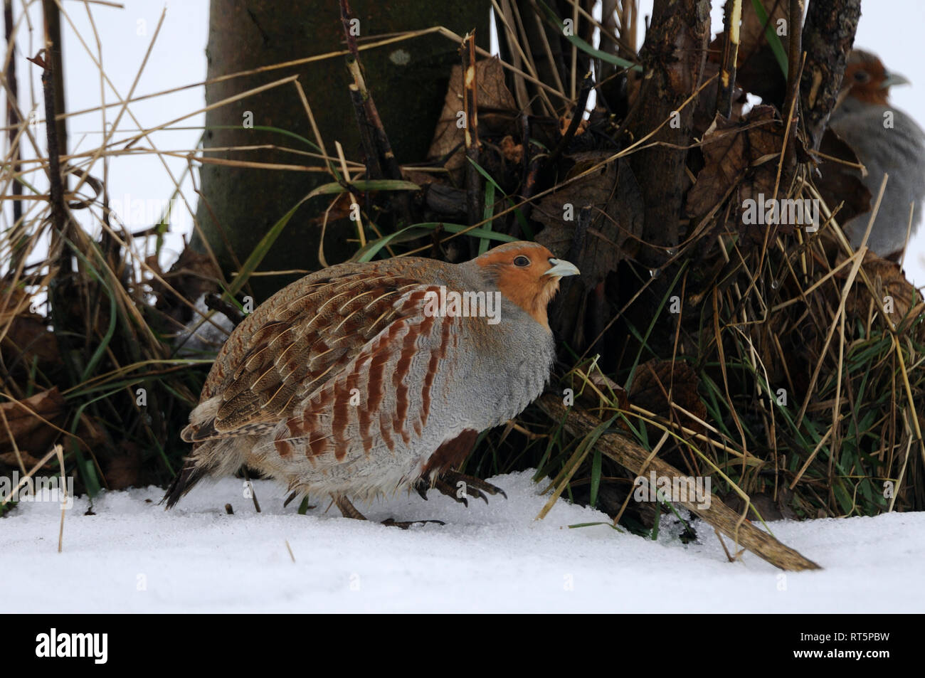 Emergency time hi-res stock photography and images - Alamy