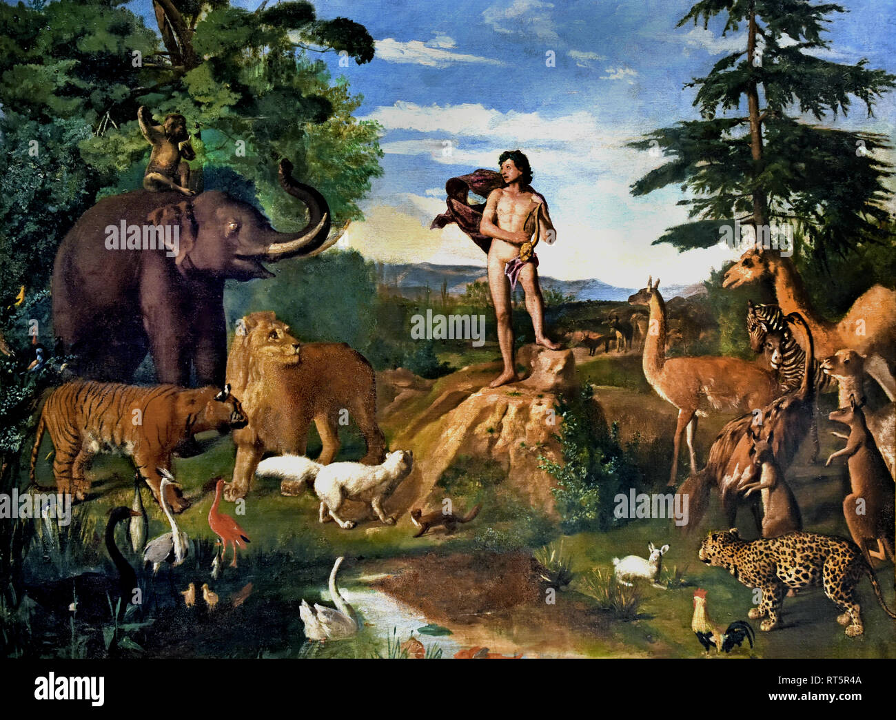 Orpheus charming the animals hi-res stock photography and images - Alamy