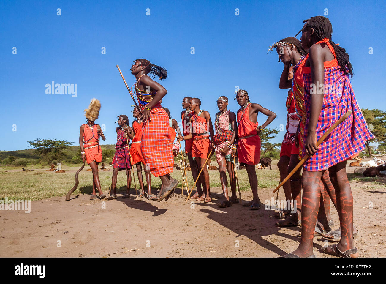 Maasai warriors jumping hi-res stock photography and images - Alamy