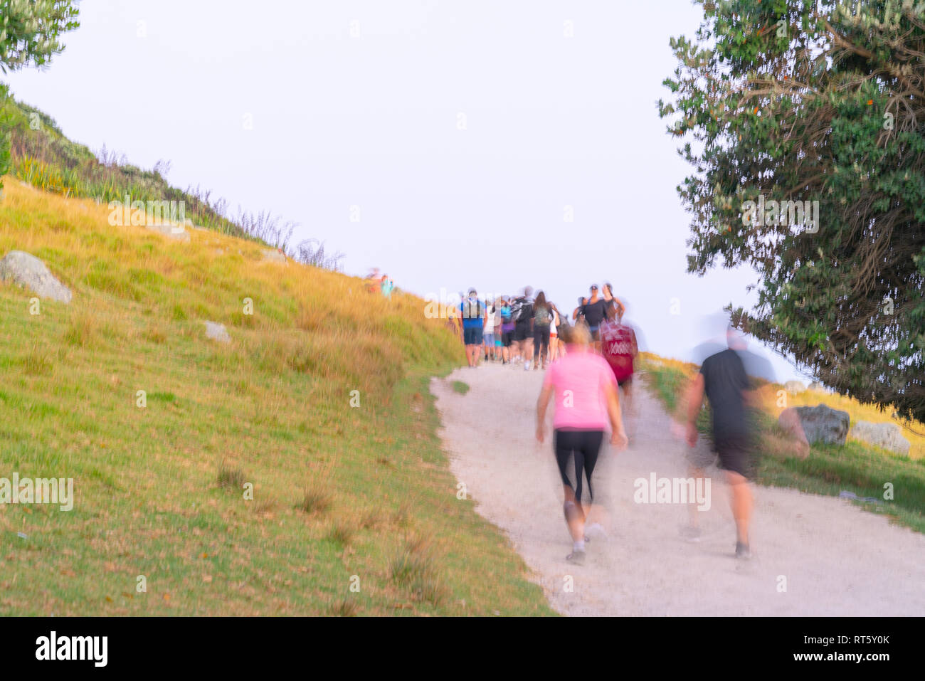 TAURANGA NEW ZEALAND FEBRUARY 14 2019; Blurred images of large group ...