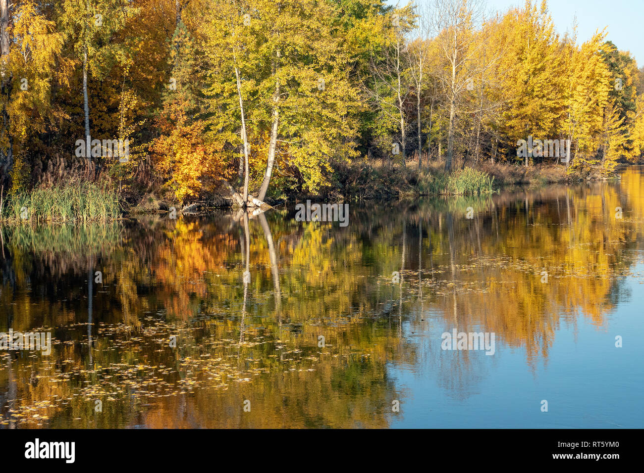 Golden fall colors and river hi-res stock photography and images - Alamy