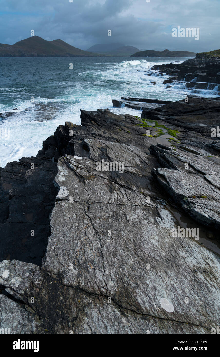 The valentia island tetrapod footprints hi-res stock photography and ...
