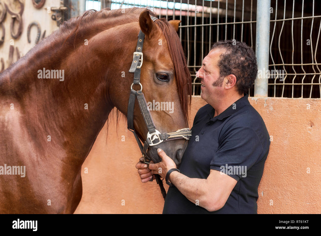 Portrait of a handsome man with his horse standing at the stable Stock ...