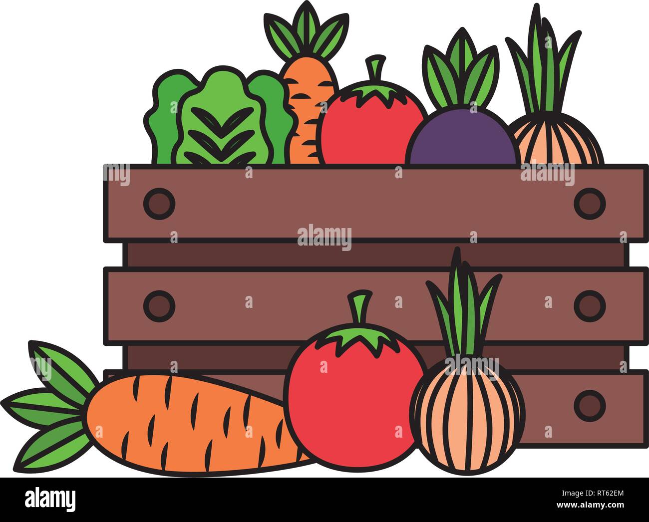 Cabbage vegetable box Stock Vector Images - Alamy