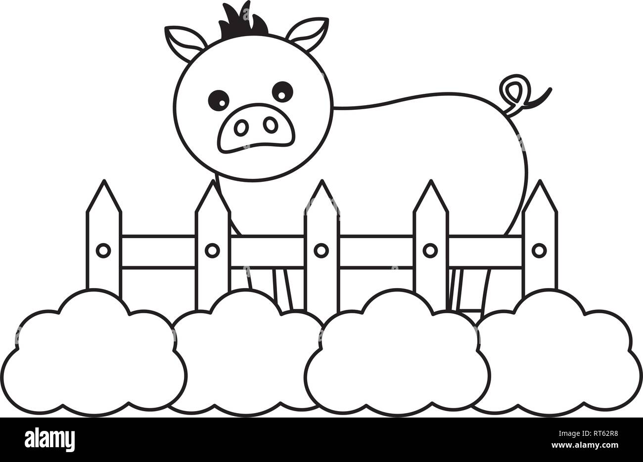 Pig grass fence background Black and White Stock Photos & Images - Alamy