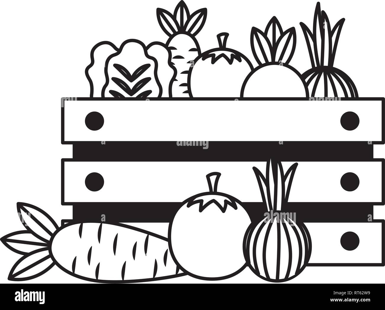 Cucumber box Stock Vector Images - Alamy