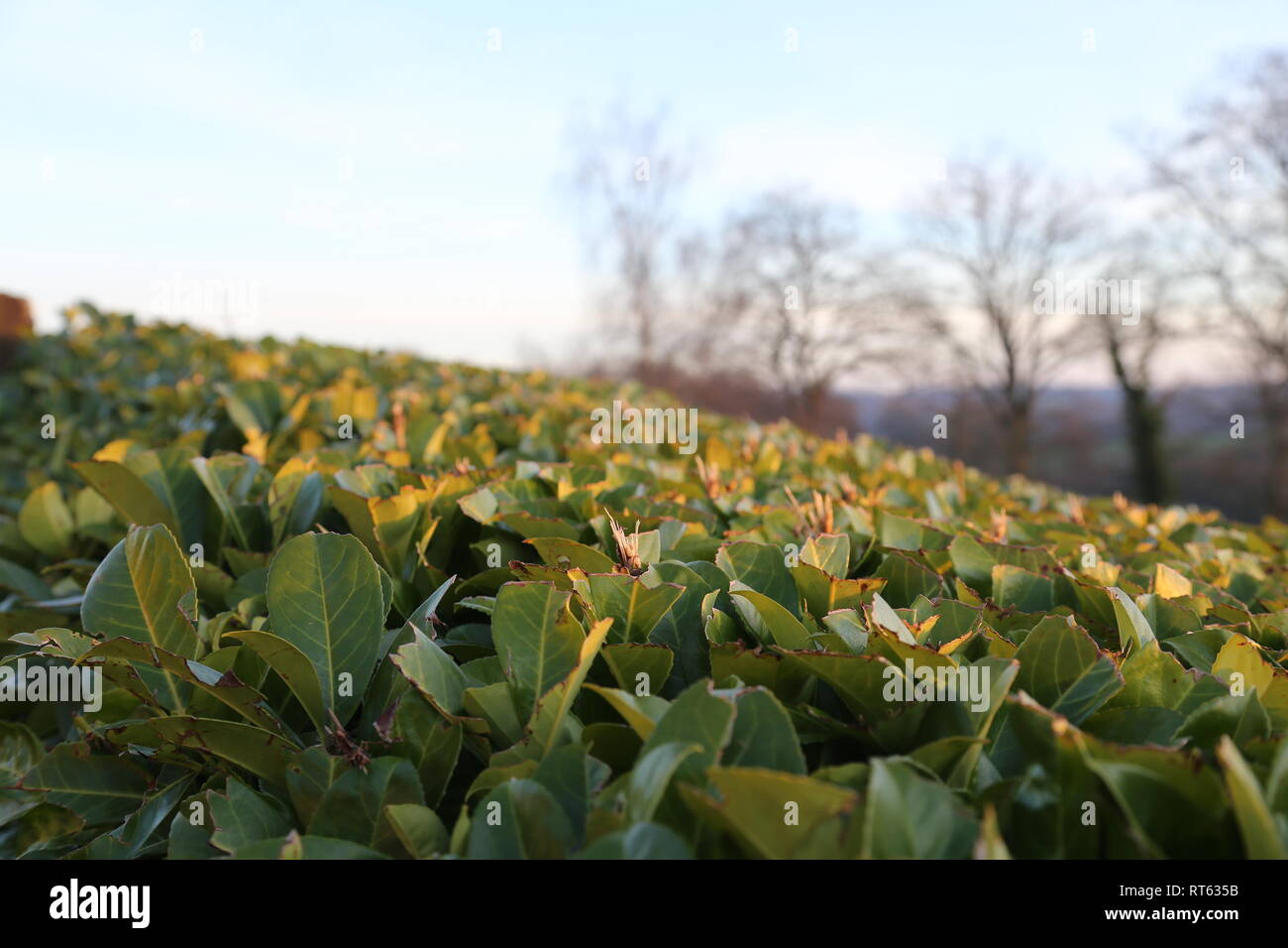 Managed border hi-res stock photography and images - Alamy