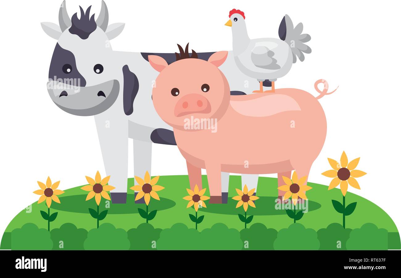 Cow pig chicken hi-res stock photography and images - Alamy