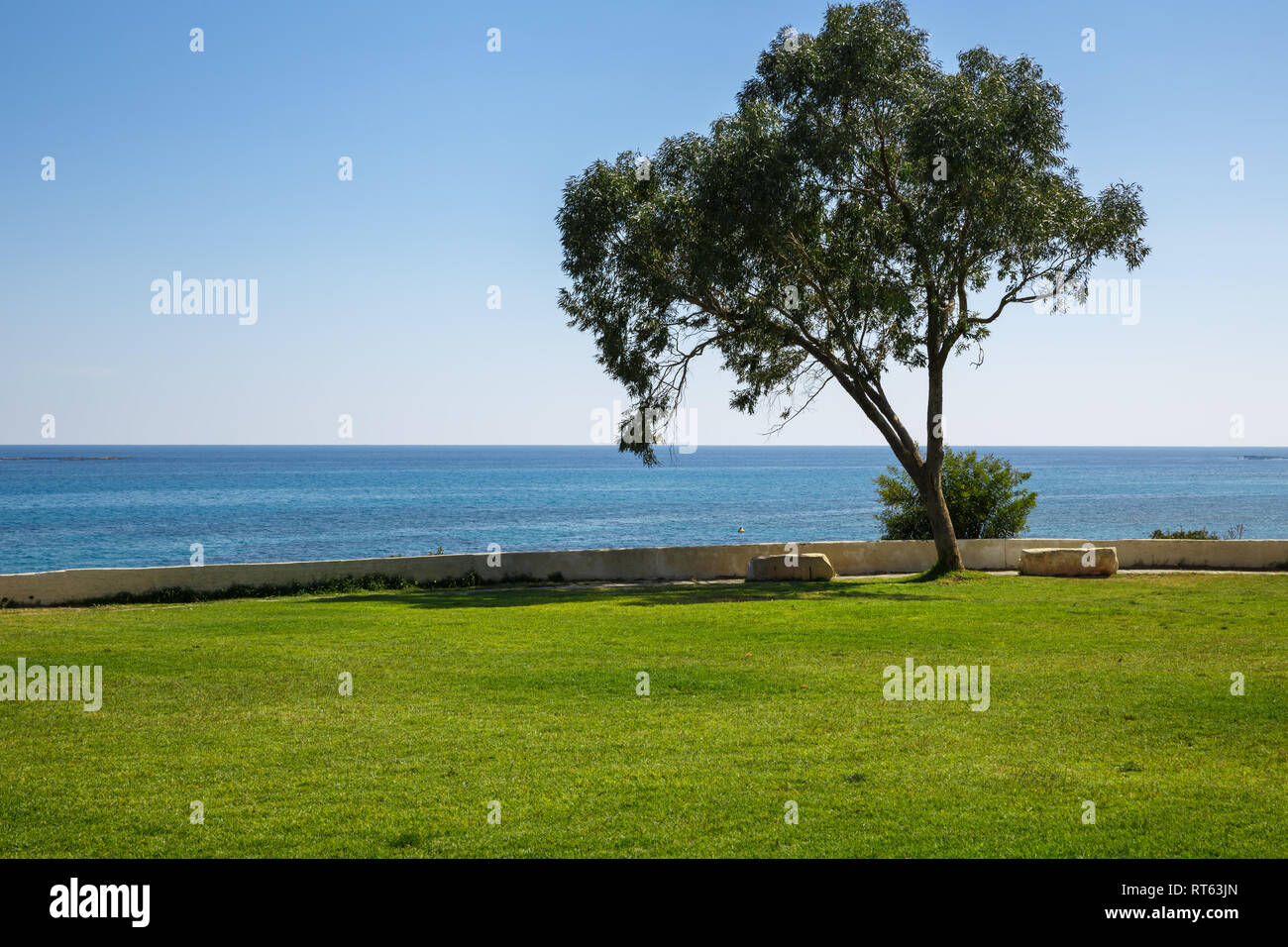 Landscape with the tree and Mediterranean sea in Cyprus Stock Photo - Alamy