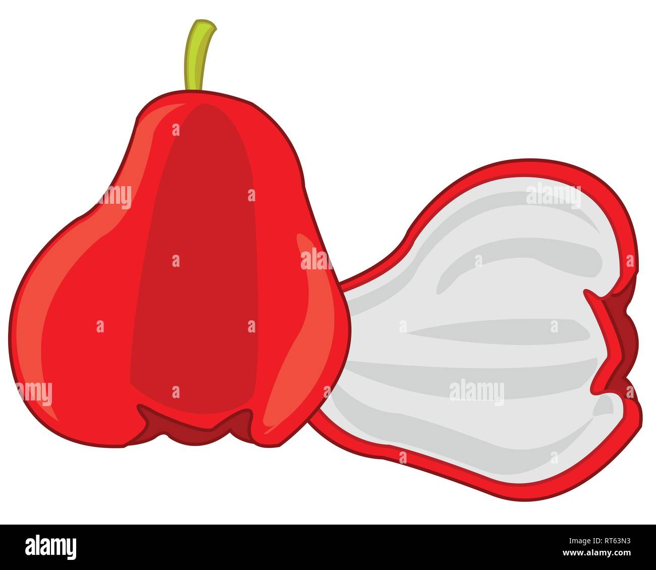 Vector illustration exotic asiatic fruit Chompu on white Stock Vector ...