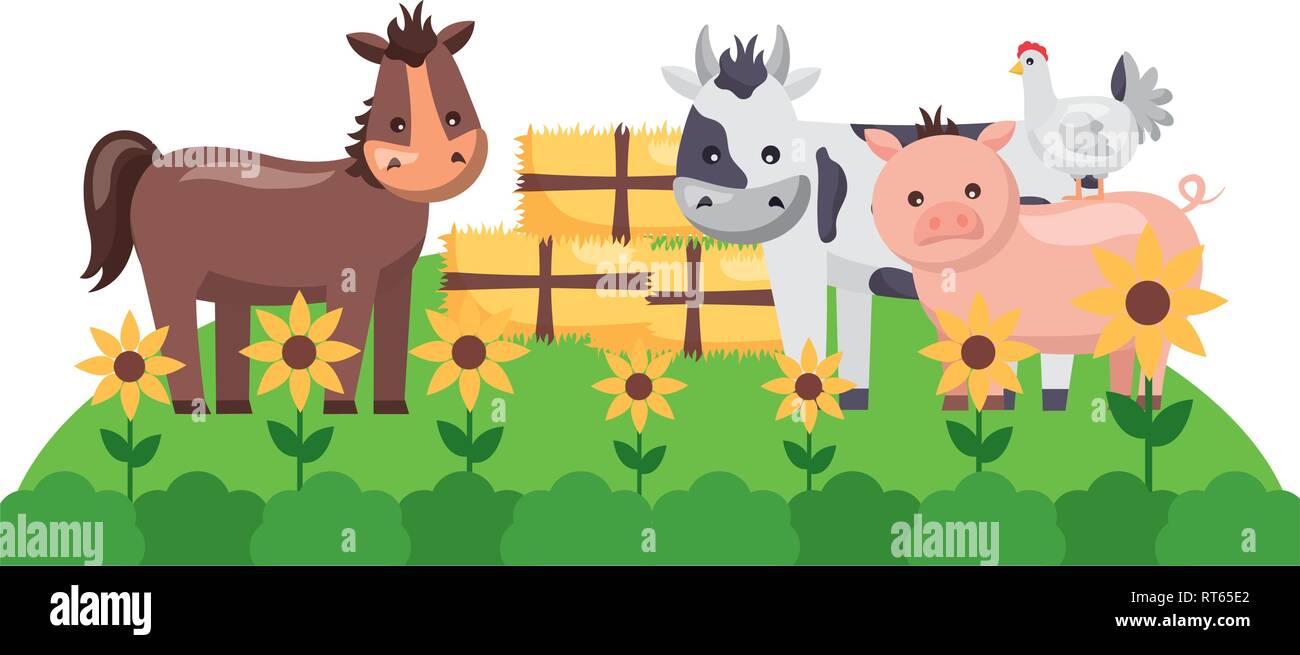 Horse And Cow And Pig And Chicken High Resolution Stock Photography and ...