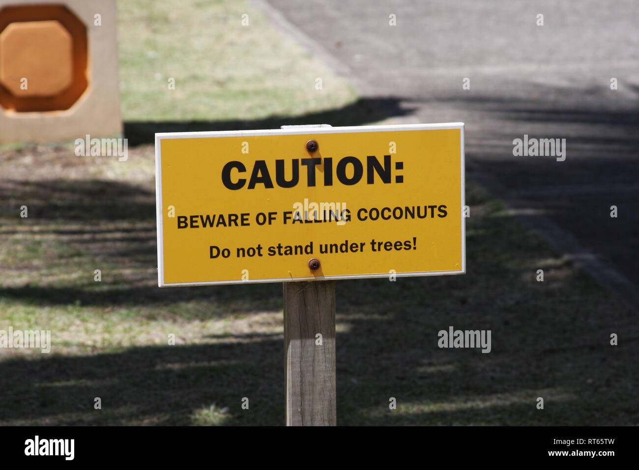 Falling coconuts hi-res stock photography and images - Alamy