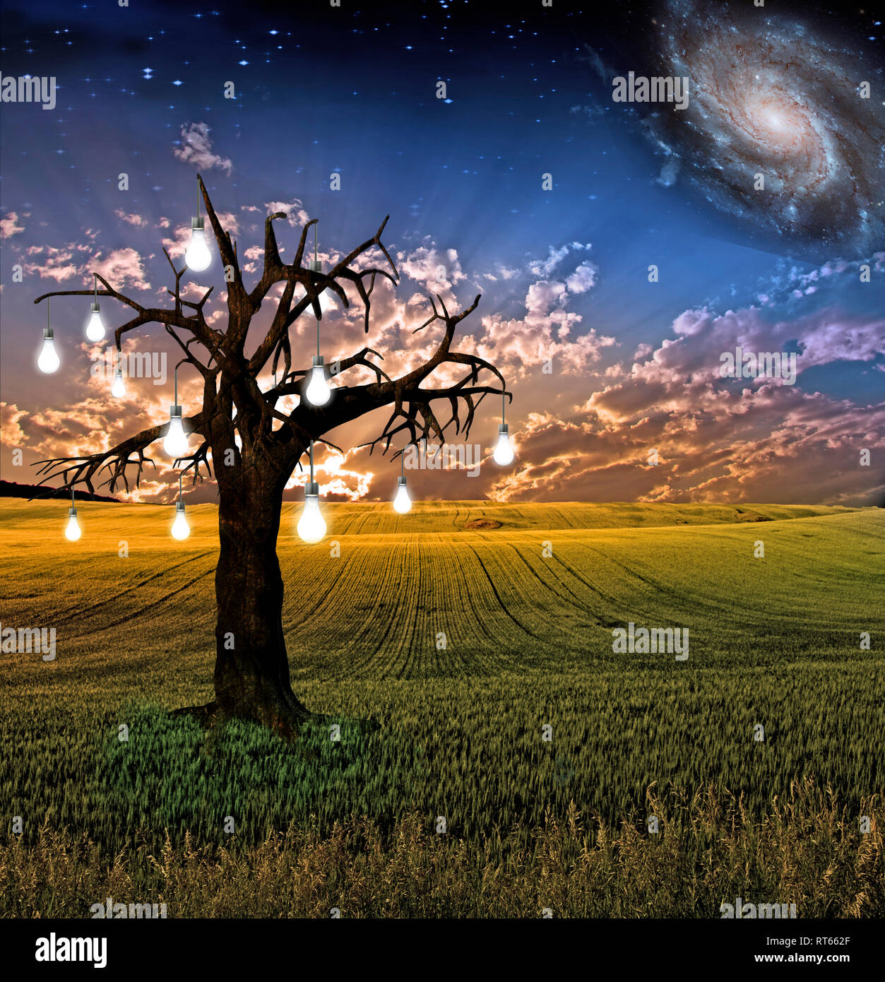 Idea tree landscape. Light Bulbs represents ideas Stock Photo - Alamy