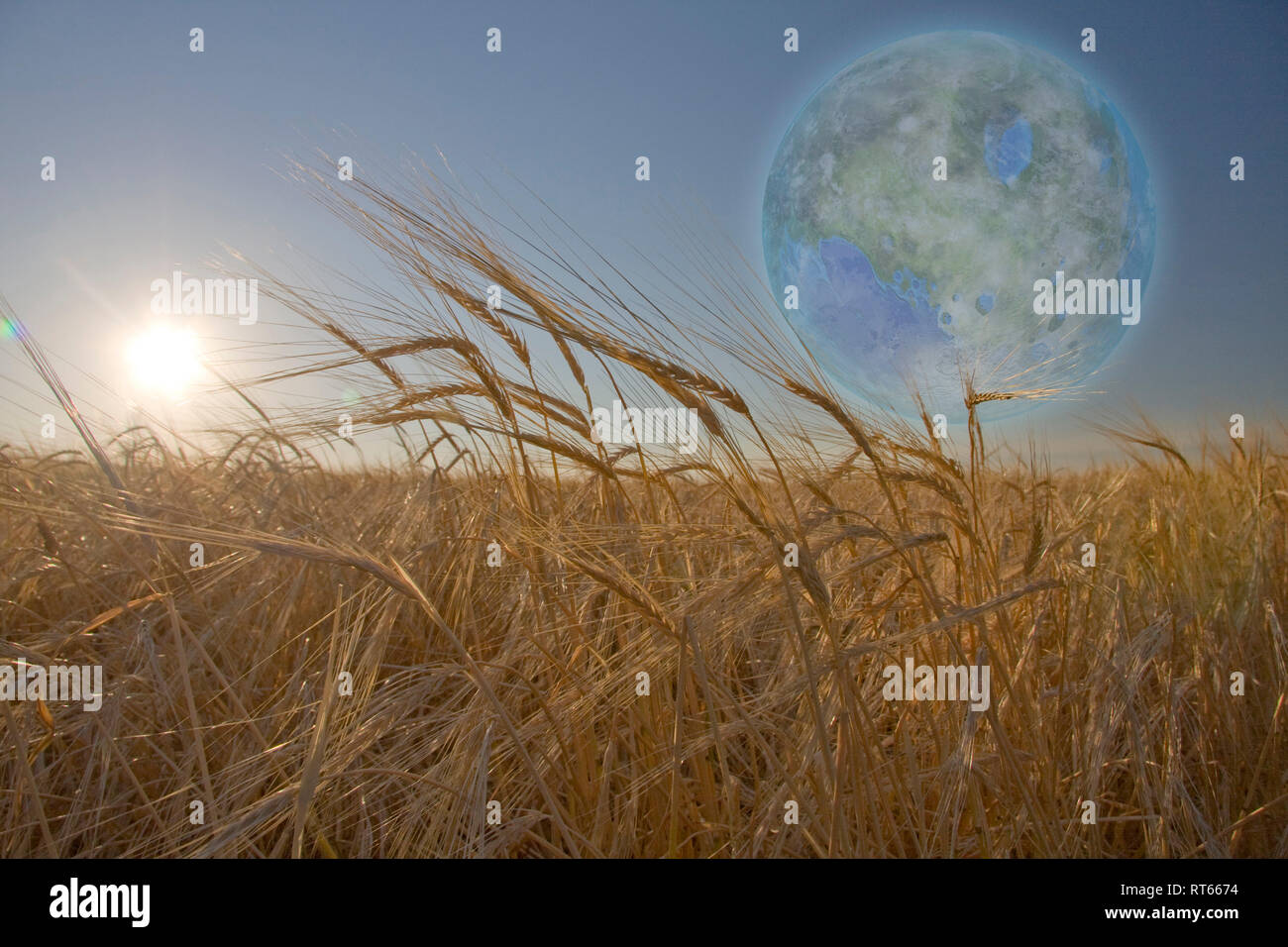 Terraformed Luna seen from field on Earth Stock Photo - Alamy
