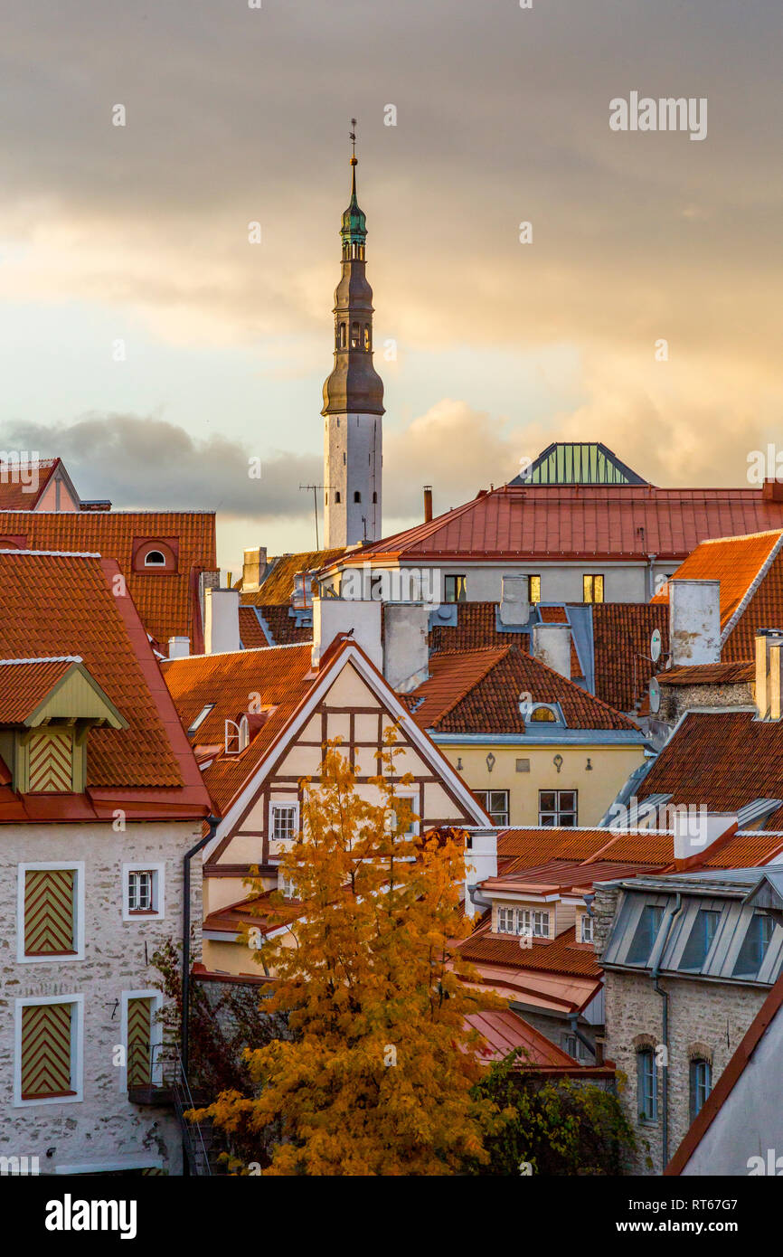 Europe, Eastern Europe, Baltic States, Estonia, Tallinn. old town ...