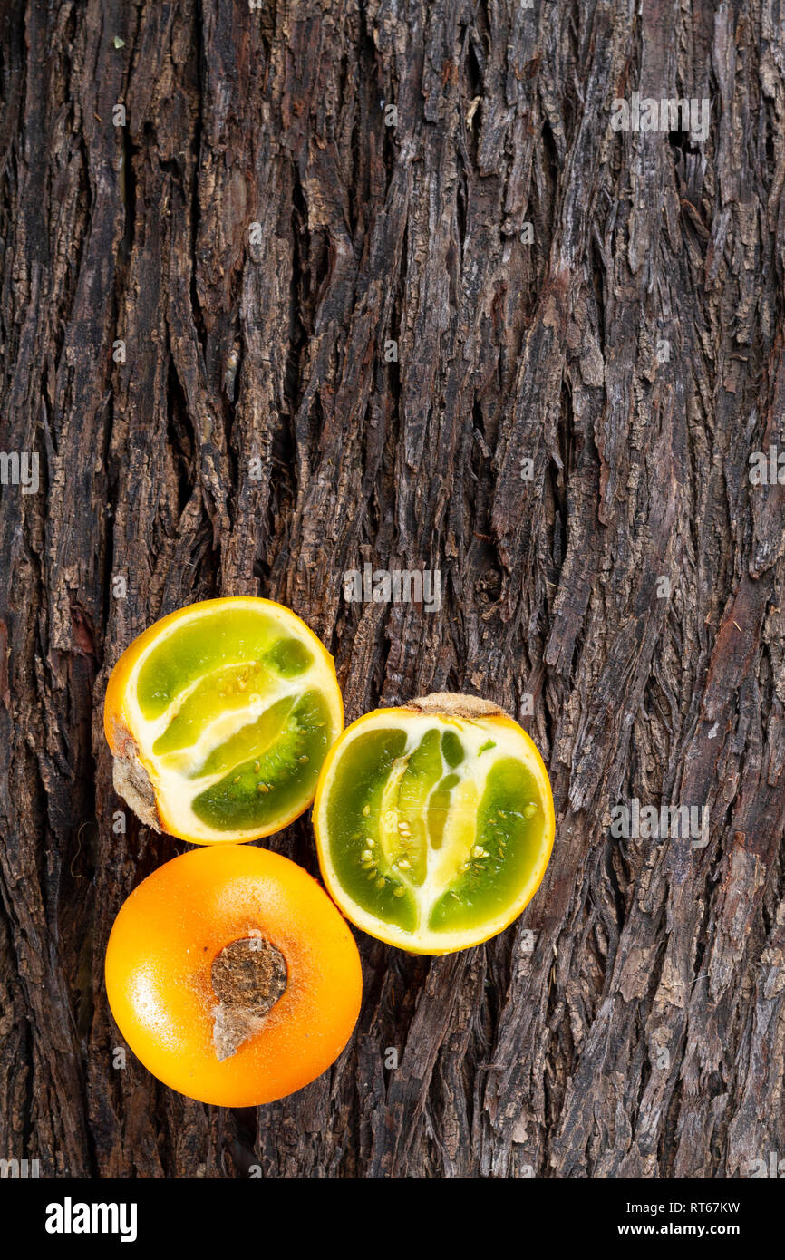 Fruit of lulo on tree bark (Solanum quitoense Stock Photo - Alamy