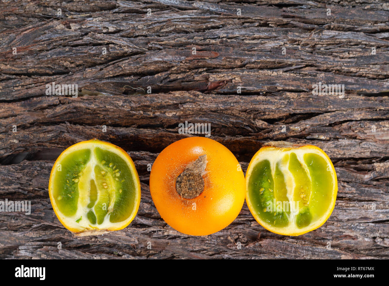 Fruit of lulo on tree bark (Solanum quitoense Stock Photo - Alamy