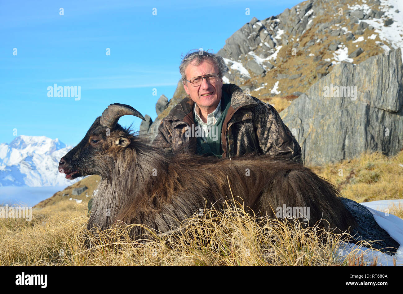 Succesful hunter with the introduced Himalayan goat, or Tahr ...