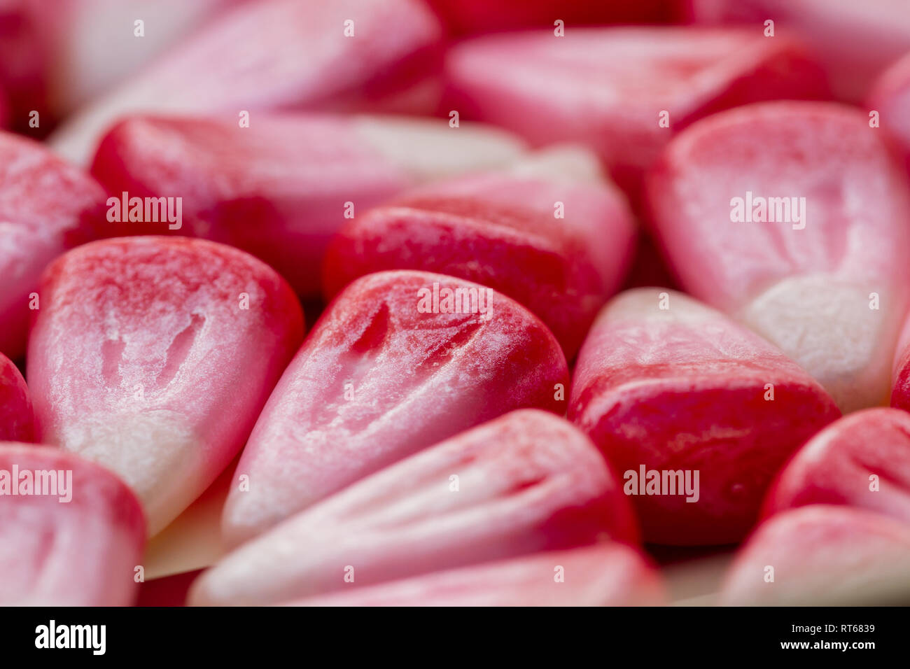 macro of pink candy corn kernels as a concept or background Stock Photo ...