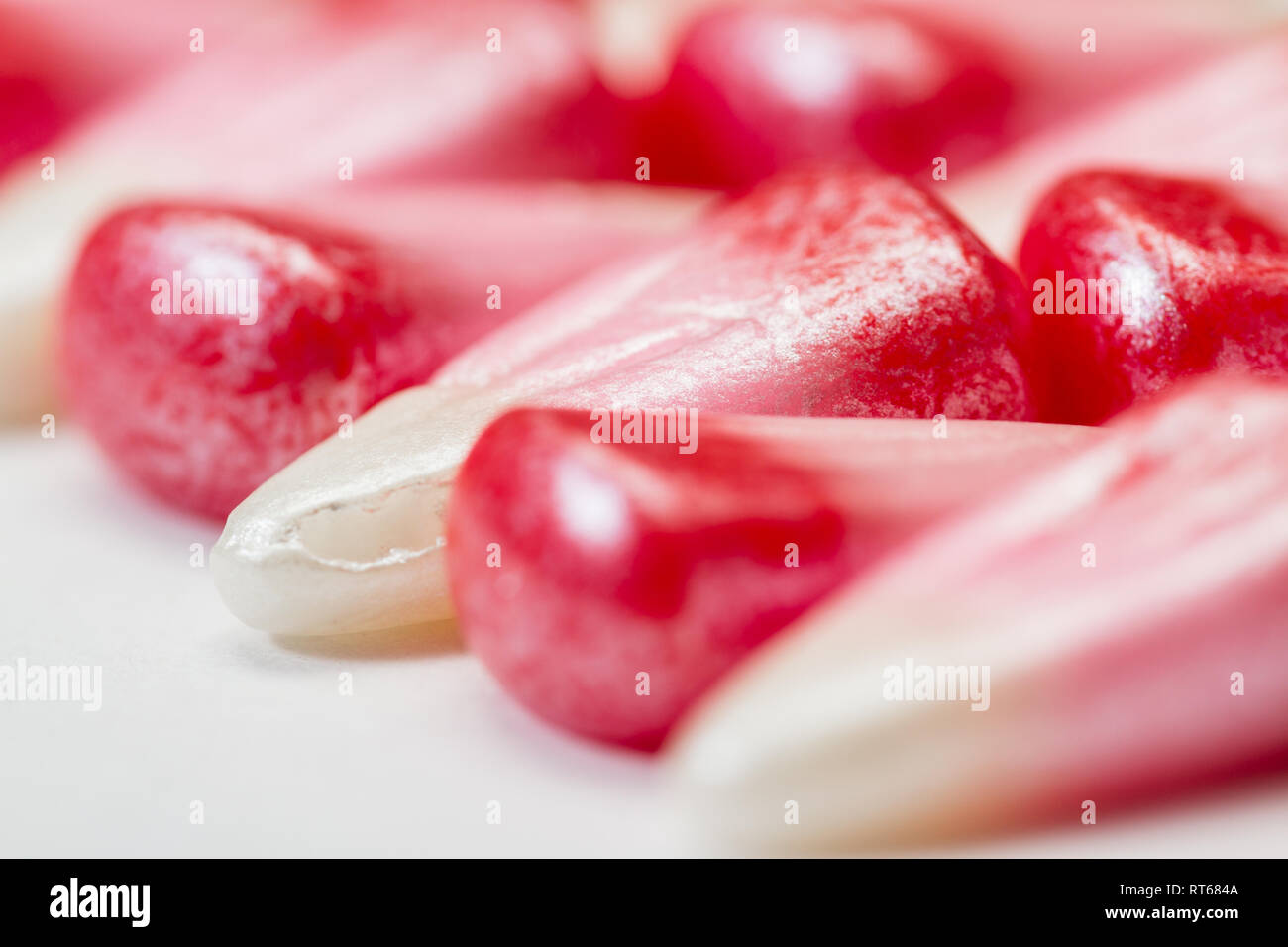 Pink candy corn hi-res stock photography and images - Alamy