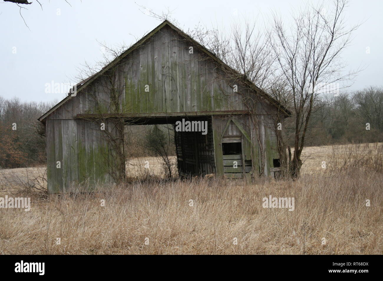 Little Barn on the Prairie Stock Photo - Alamy