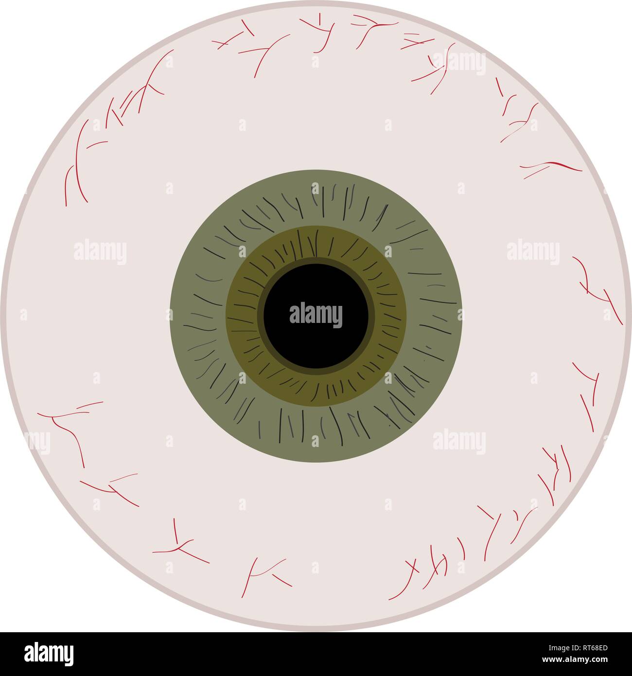 Human vision Stock Vector Images - Alamy