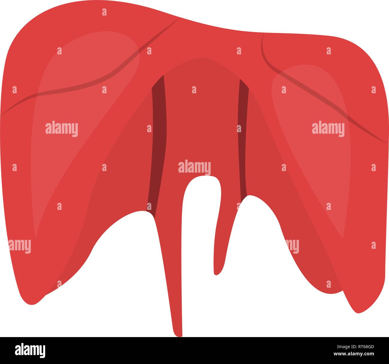 Isolated human cut liver Stock Vector Image & Art - Alamy