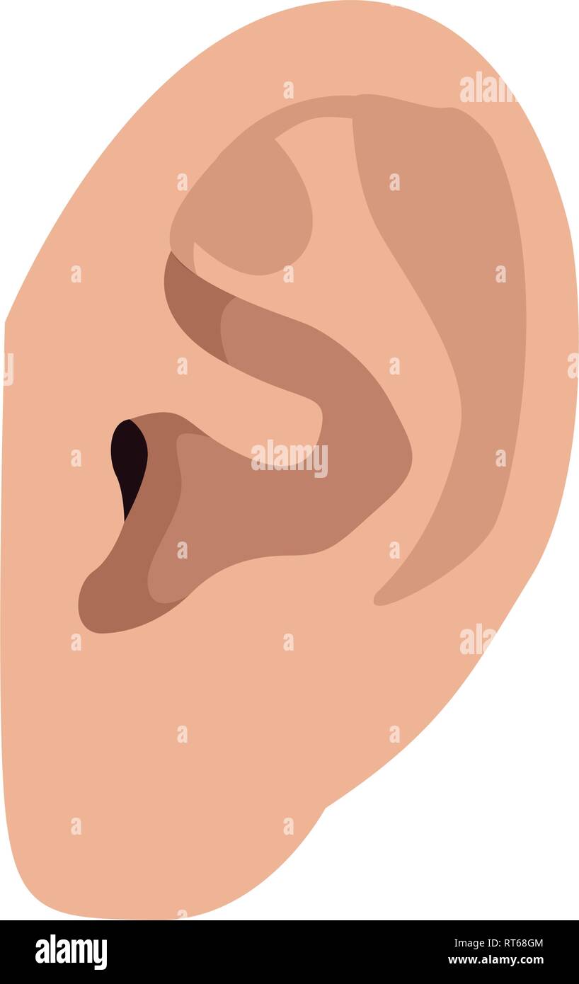 Isolated human ear Stock Vector Image & Art - Alamy