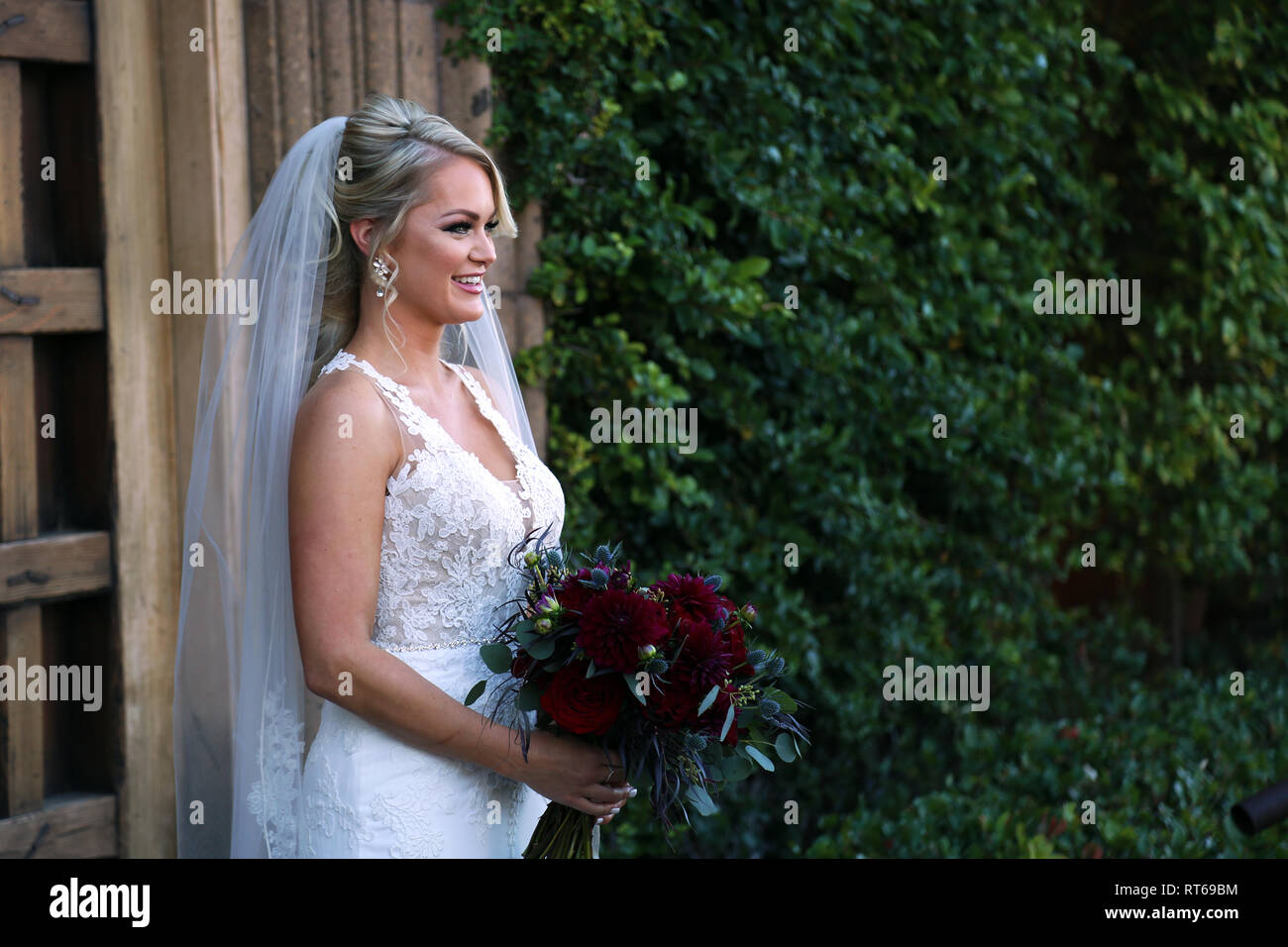 Blushing bride flower hi-res stock photography and images - Alamy