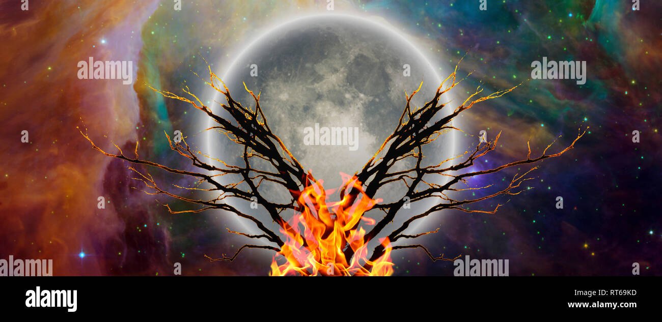 Mystic tree in moonlight hi-res stock photography and images - Alamy