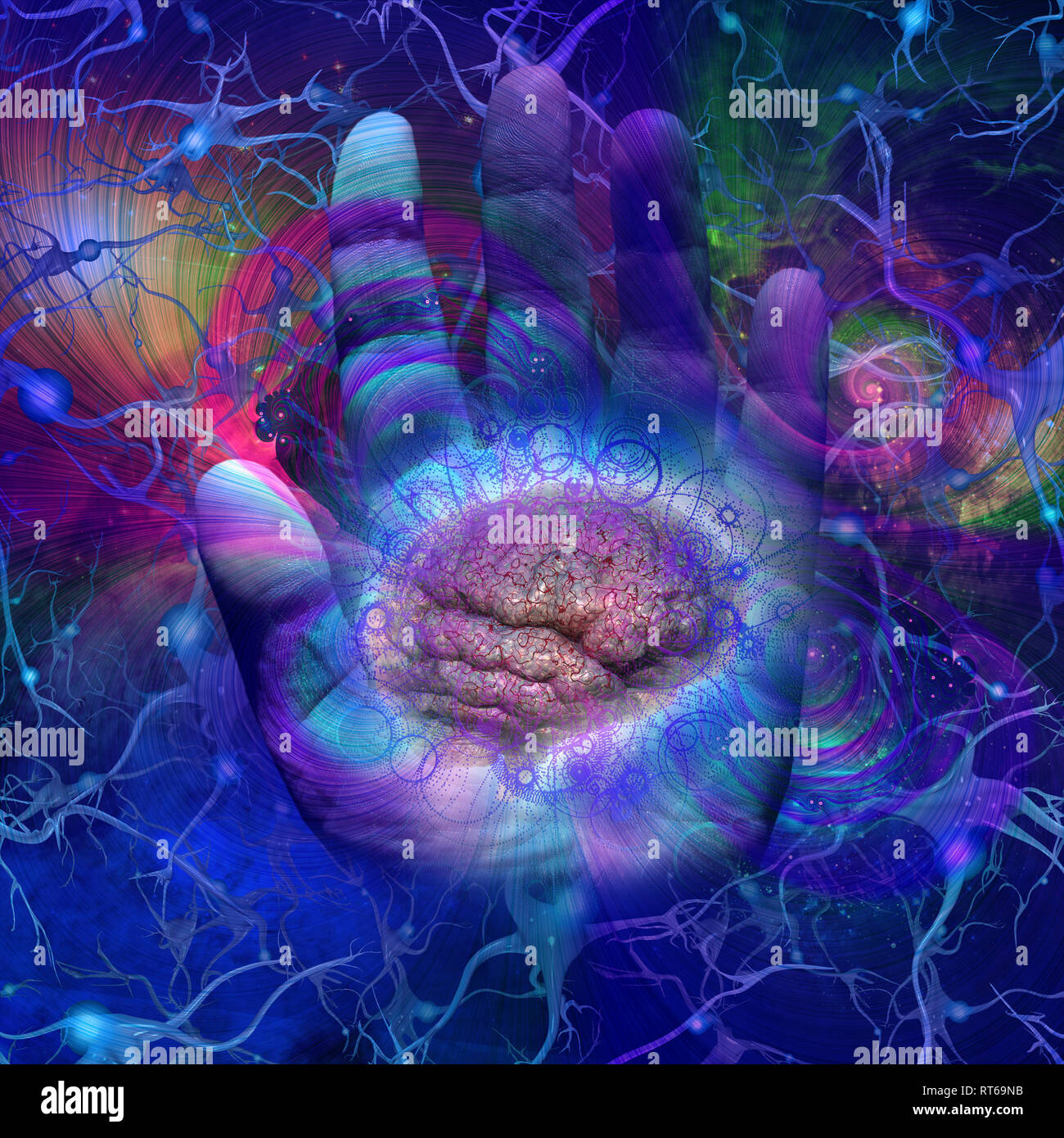 Human brain anatomy music hi-res stock photography and images - Alamy