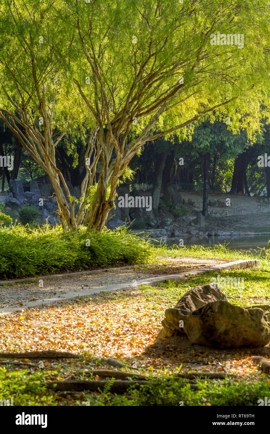 Peacefulview hi-res stock photography and images - Alamy