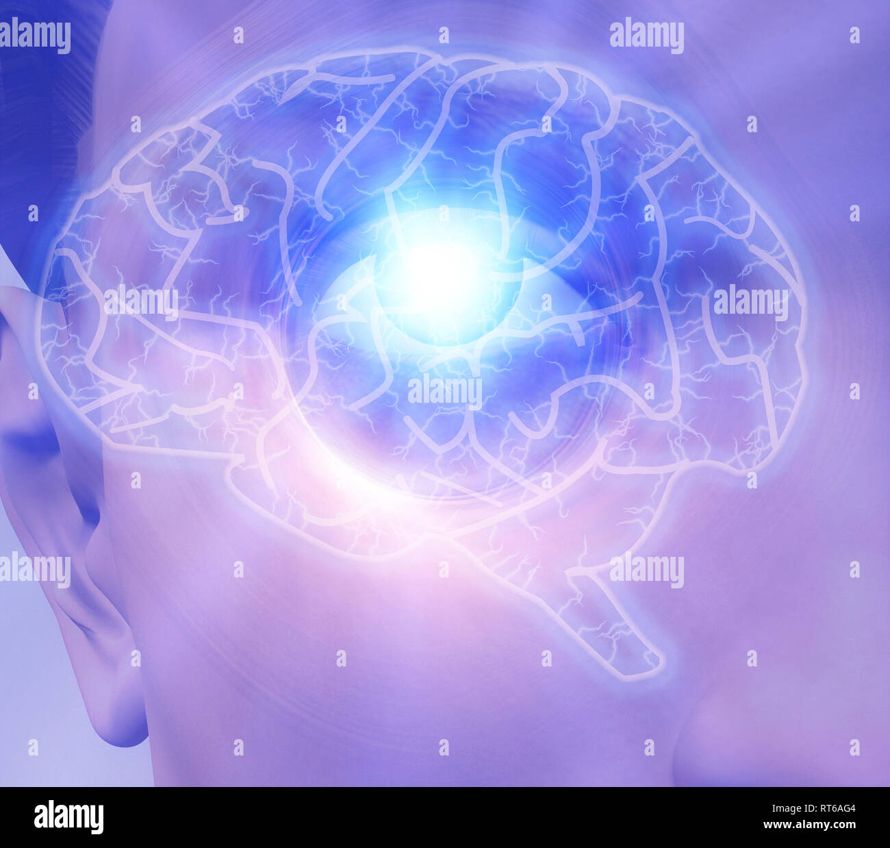 Visual perception brain hi-res stock photography and images - Alamy