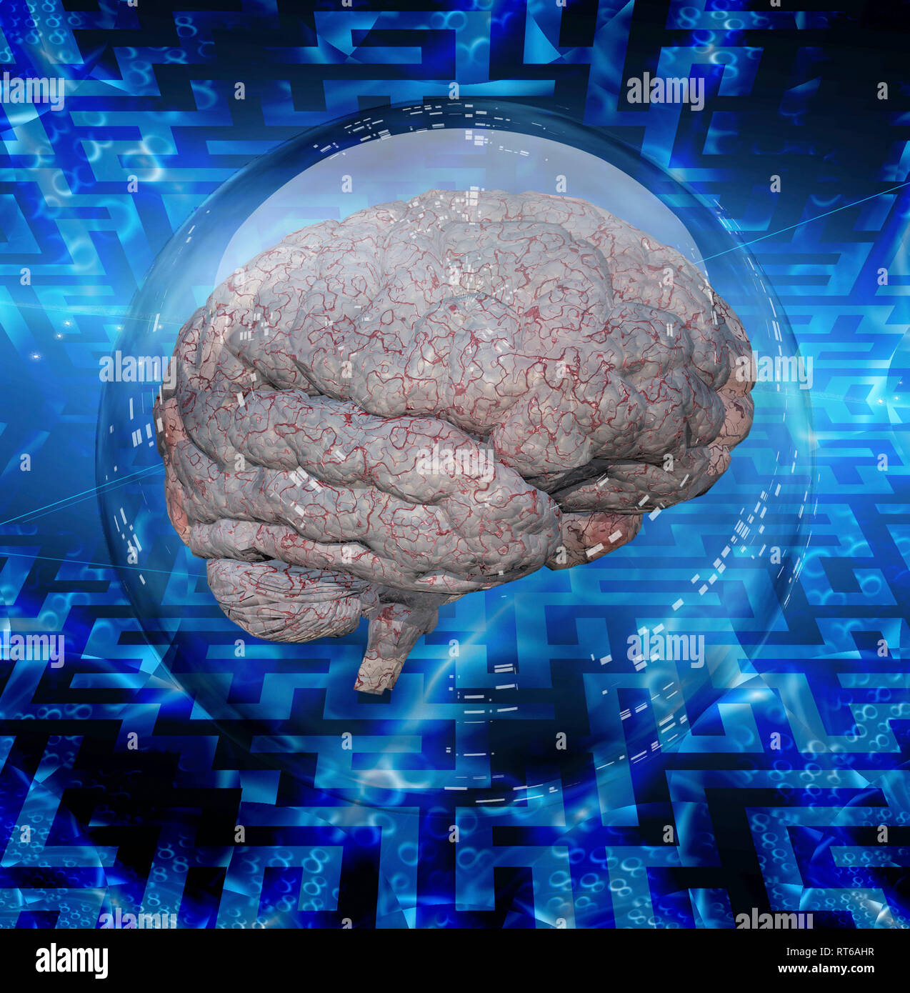 Human brain in glass sphere Stock Photo - Alamy