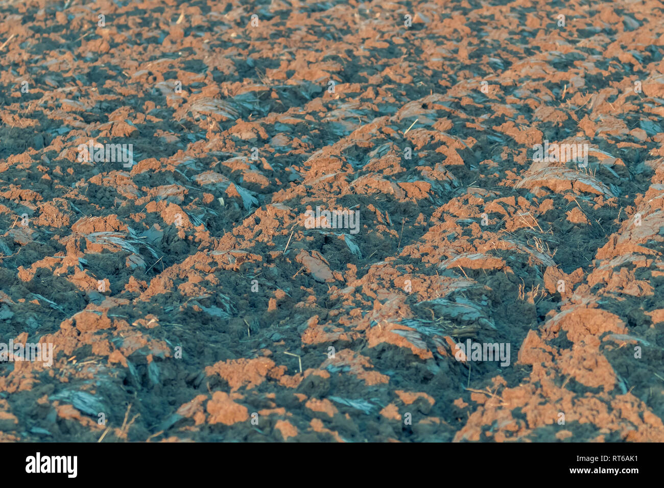 Plowed Field Ready For New Crops, Agricultural Background Stock Photo ...
