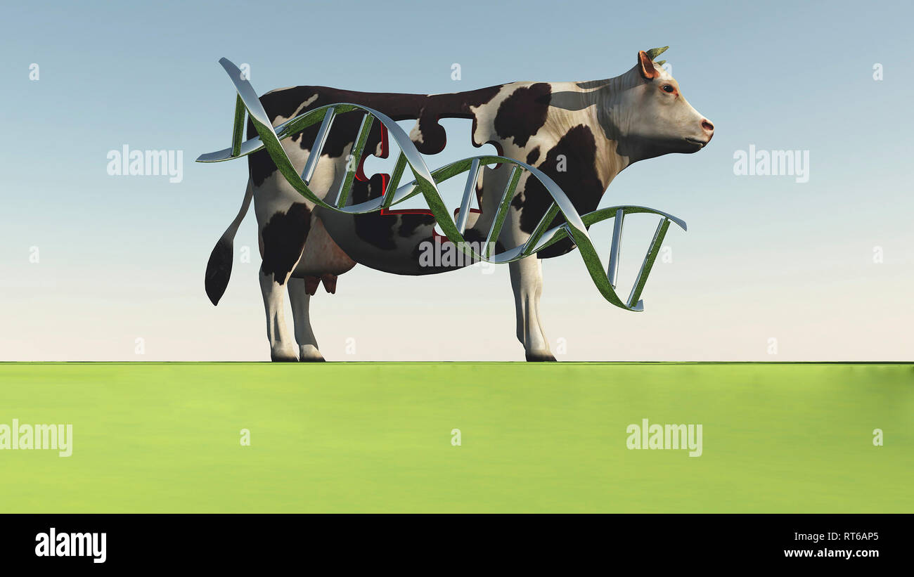 Cow with DNA strand and hole in puzzle shape Stock Photo - Alamy