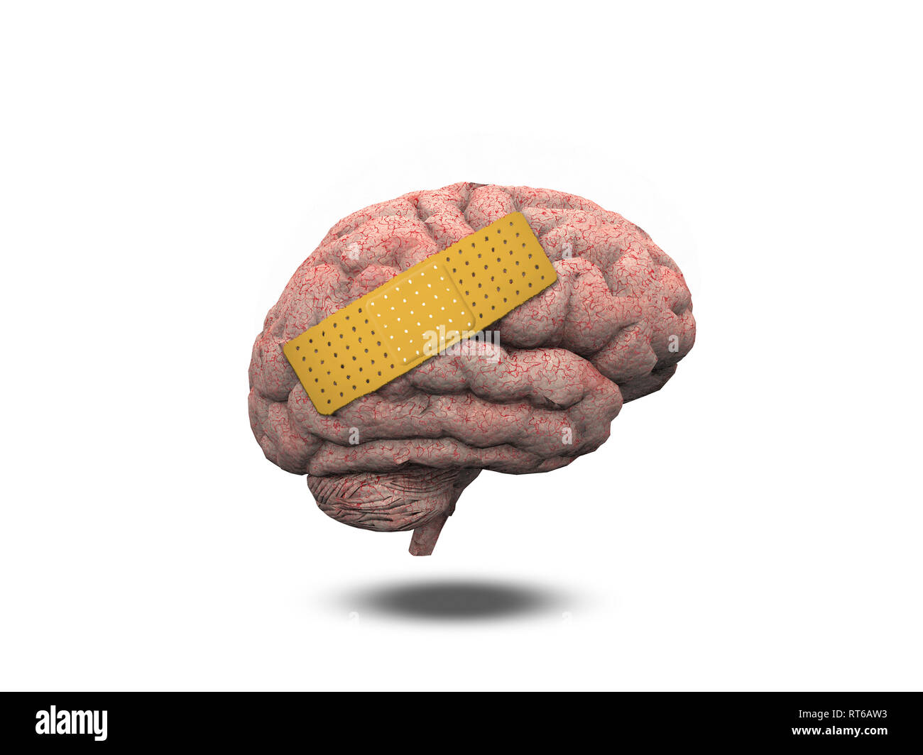 Adhesive Plaster on Wounded Brain Stock Photo - Alamy