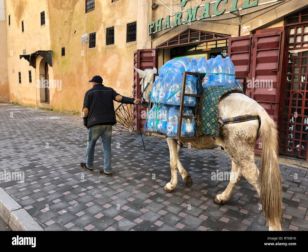 Mule carrying water, through the medina in Fes, Morocco, Africa Stock ...