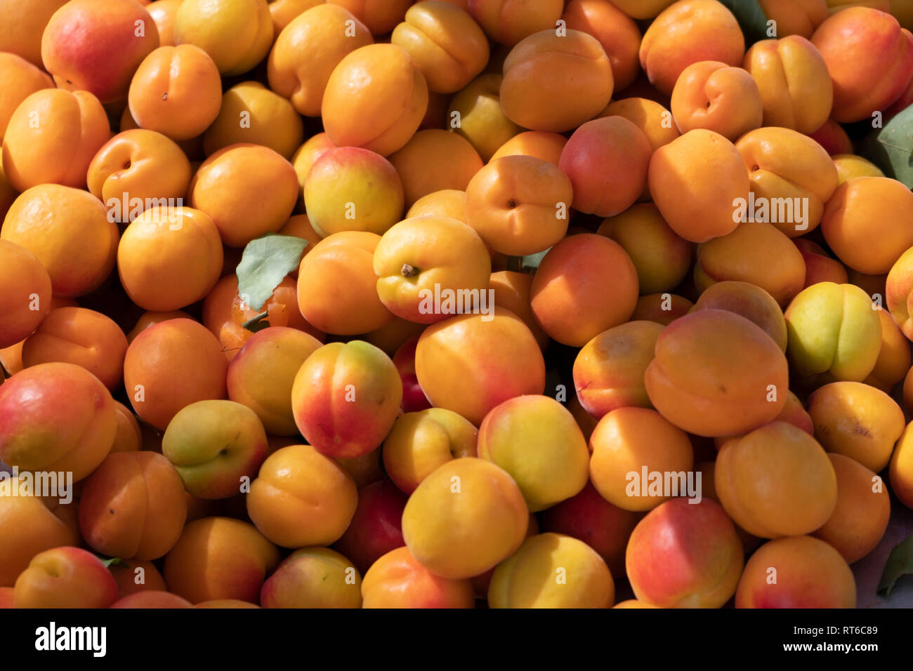 pile of apricots in market in Spain Stock Photo - Alamy
