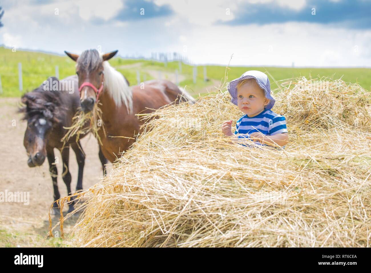 Children playing in nature in tha hay Stock Photo - Alamy