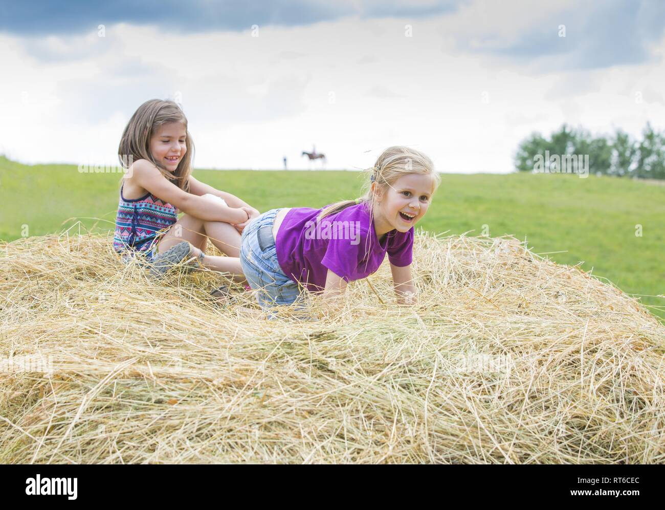 Children playing in nature in tha hay Stock Photo - Alamy