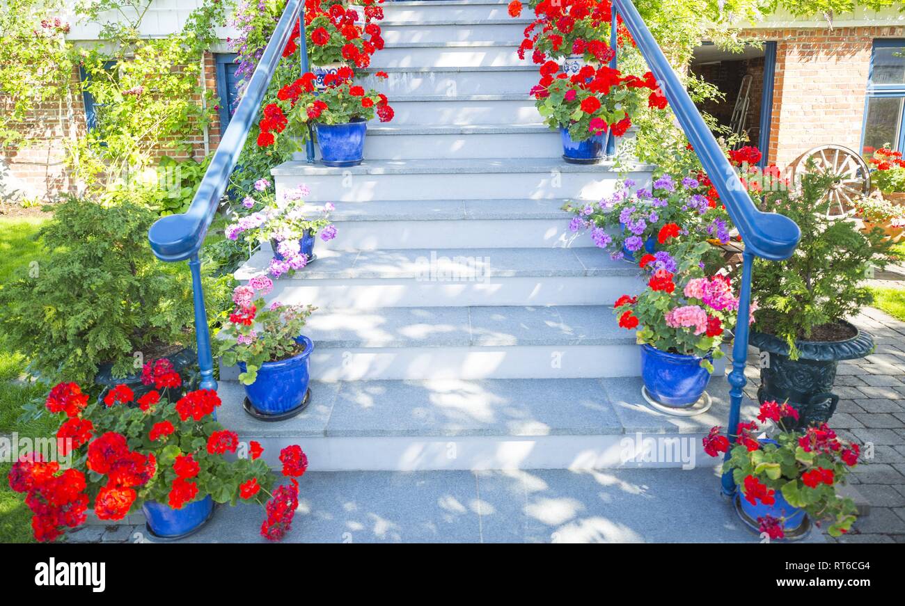 Garden Gate in the summer Stock Photo - Alamy
