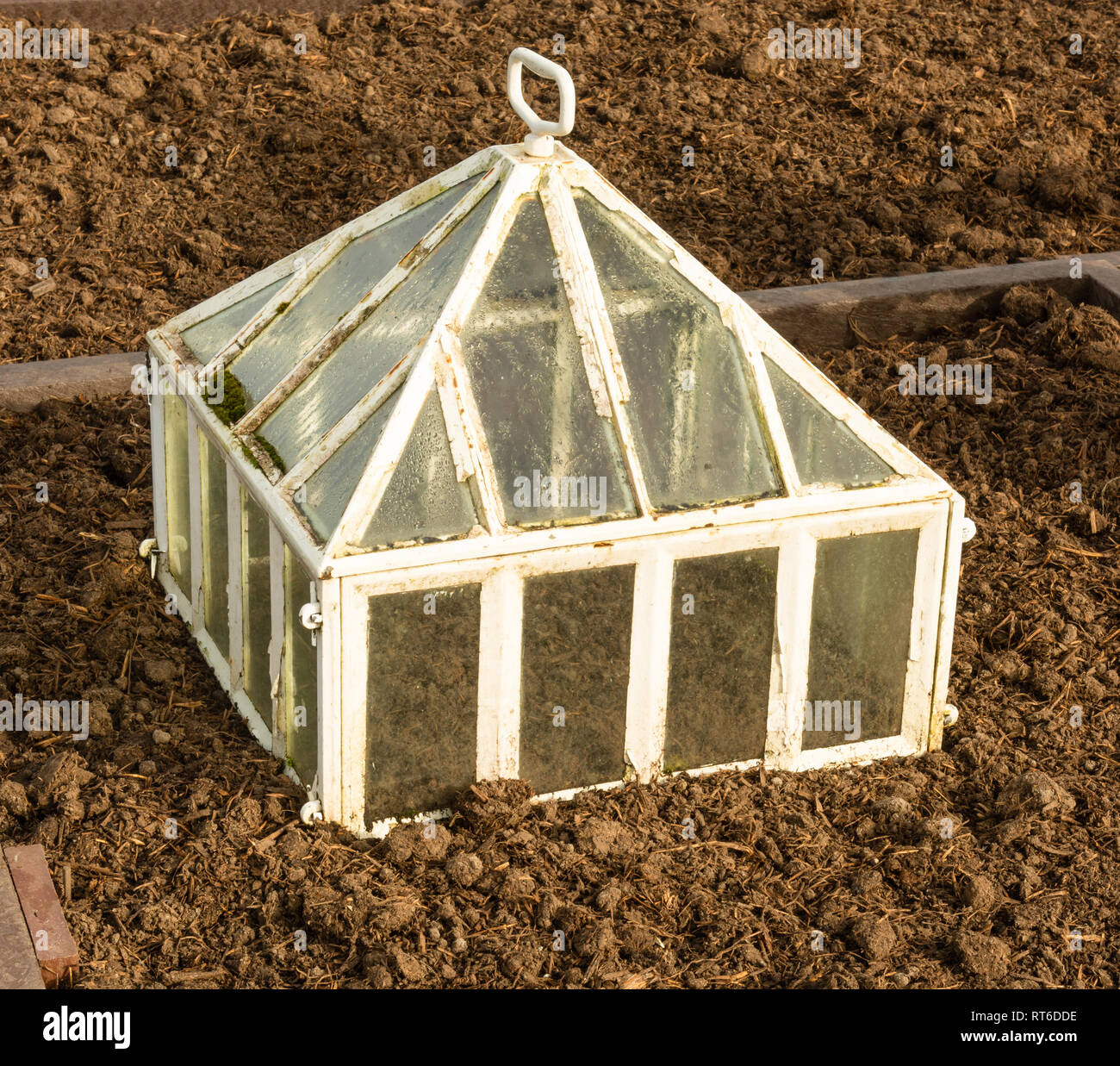 Glass garden cloche hi-res stock photography and images - Alamy