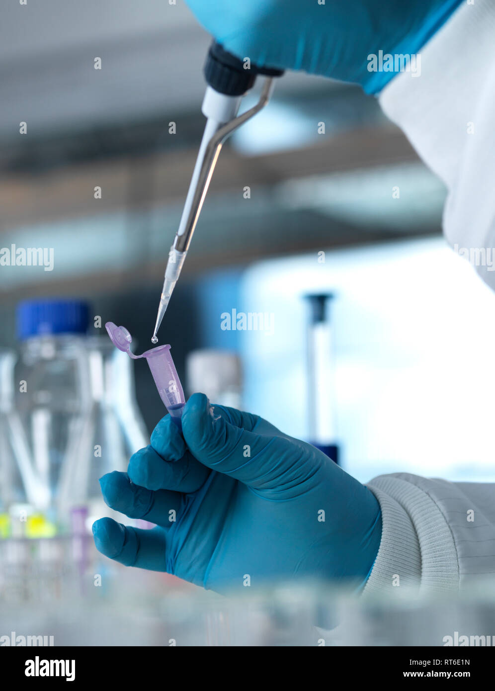 Scientist pipetting a DNA sample into a eppendorf tube for genetic ...