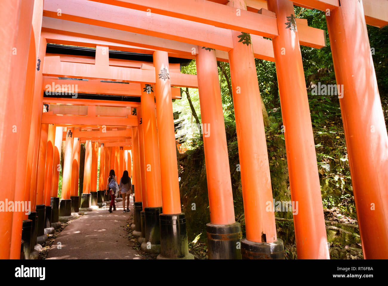 Torii gates at Shinto shrine Fushimi Inari-taisha, Kyoto, Japan ...